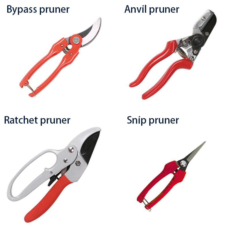 Application of pruning shears，bypass pruner,anvil pruenr,ratchet pruner ...